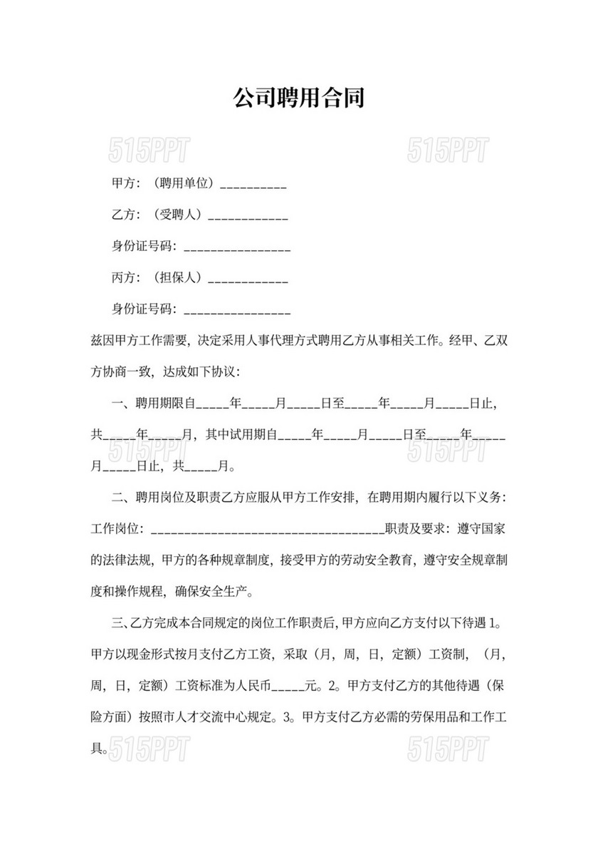 公司聘用合同范文 515PPT