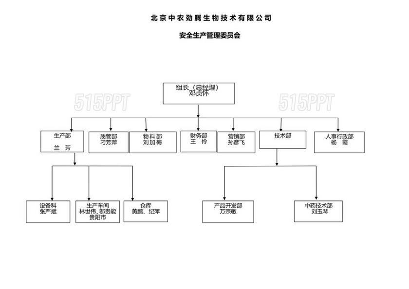 安全生产委员会组织架构图样板 515PPT