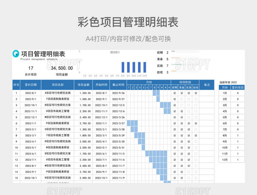 彩色项目管理明细表 515PPT